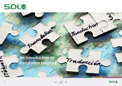 What’s a CAT tool? What’s a TM? | Signs & Symptoms of Translation